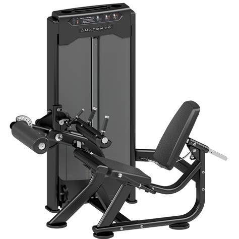 Anatomy Seated Hamstring Curl