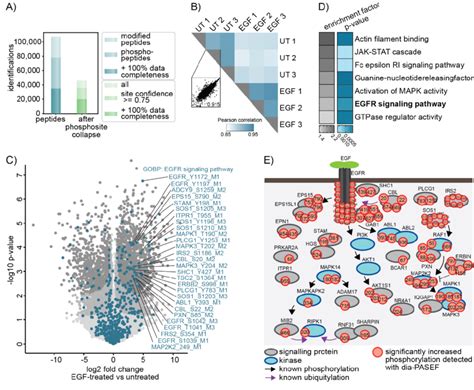 The Dia Pasef Workflow Allows The Robust Detection Of Characteristic Download Scientific