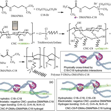A Random Walk Random Walks Gives A Model Of Linear Polymers In
