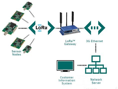 Lora Network Steplab