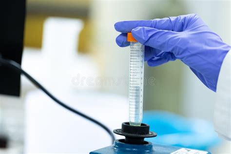 Fish Blood Cells At Microscope Stock Image Image Of Blood Look 116199305