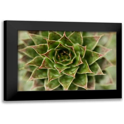 Berzel Erin 18x13 Black Modern Framed Museum Art Print Titled