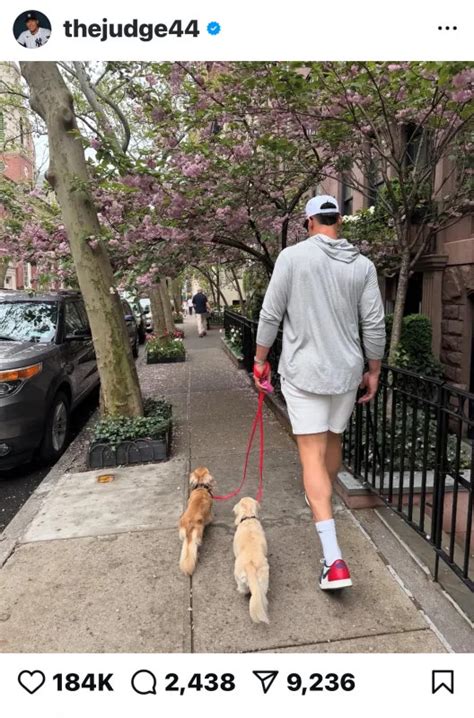 Aaron Judge Caught Spending Birthday With Two Tv Favorites Yahoo Sports