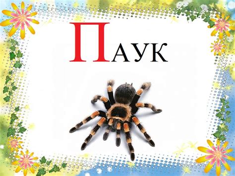 Картинки про букву П детям — учим русский алфавит
