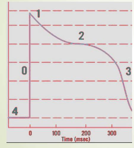 Chapter 9 Guyton And Hall Flashcards Quizlet