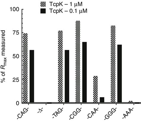 binding analysis of tcpk binding to inter tcpk box linker sequence