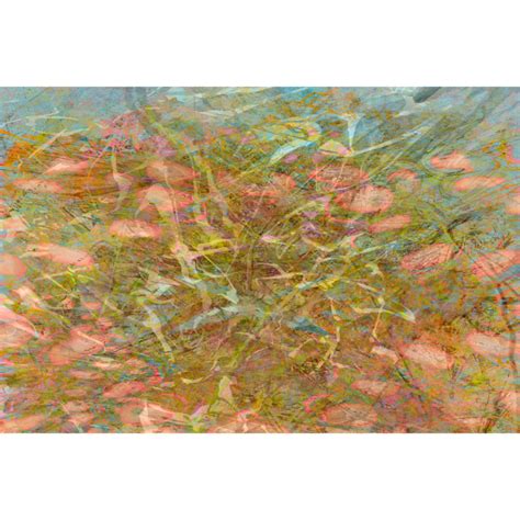 Organic Compositions Kristin Doner