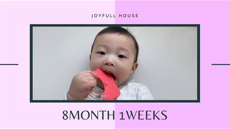 Vlog 8개월 아기 원더윅스 이앓이 이앓이 증상 이앓이 완화 방법 육아브이로그👶🏻 조이풀하우스 Youtube