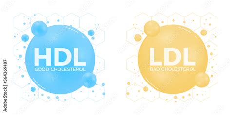 Good HDL And Bad LDL Cholesterol Icon Blood Vessel Density High Density And Low Density