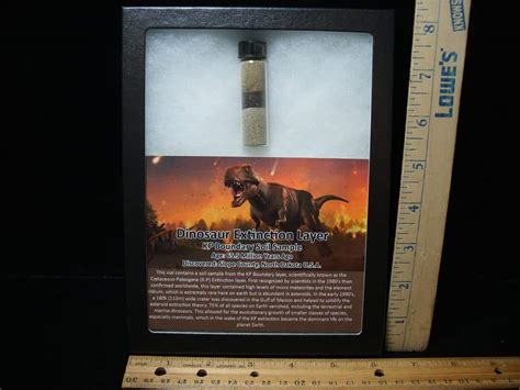 Preserved K P Boundary Layer Sample 052024ee The Stones And Bones Collection