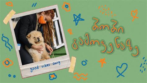 ბობი გამოფენაზე Youtube