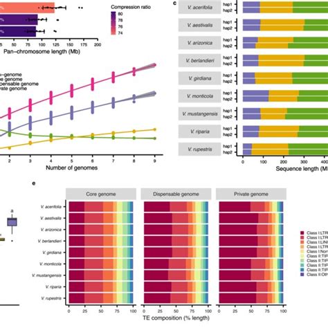 Properties Of The Nucleotide Level Super Pangenome Graph A