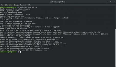 How To Upgrade Packages In Ubuntu VioletDragons Projects