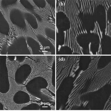sem micrographs showing typical microstructure of a al 4ni alloy and