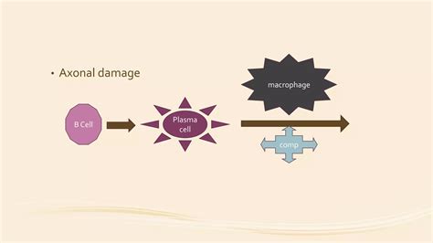 Multiple Sclerosis Pathogenesis Pptx Brain And Nervous System Disorders Diseases And