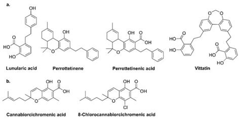 Phytocannabinoids Biosynthesis In Plants Encyclopedia MDPI