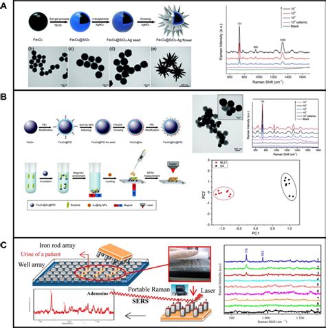 A Highly Branched Flower Like Fe3o4 Sio2 Ag Nano Hybrid For Bacteria Download Scientific
