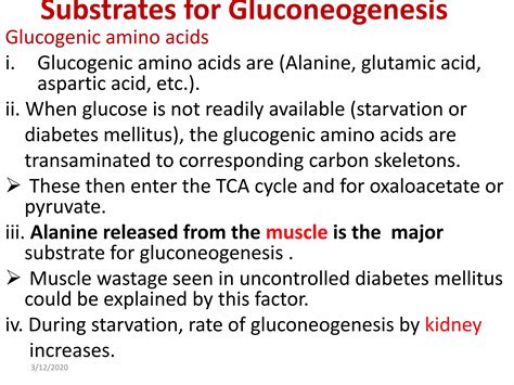 Gluconeogenesis Pptx