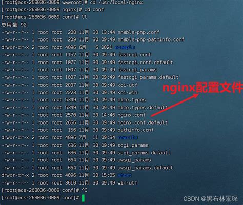 11月30日:linux服务器安装以及部署项目fastadmin部署 Csdn博客 11月30日:linux服务器安装以及部署项目fastadmin部署 Csdn博客
