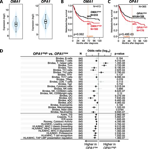 Oma1 And Opa1 Expressions In Clinical Samples Of Sts With Complex
