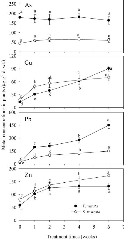 Chelating Agent Effects On As Cu Pb And Zn Uptake In The Aboveground