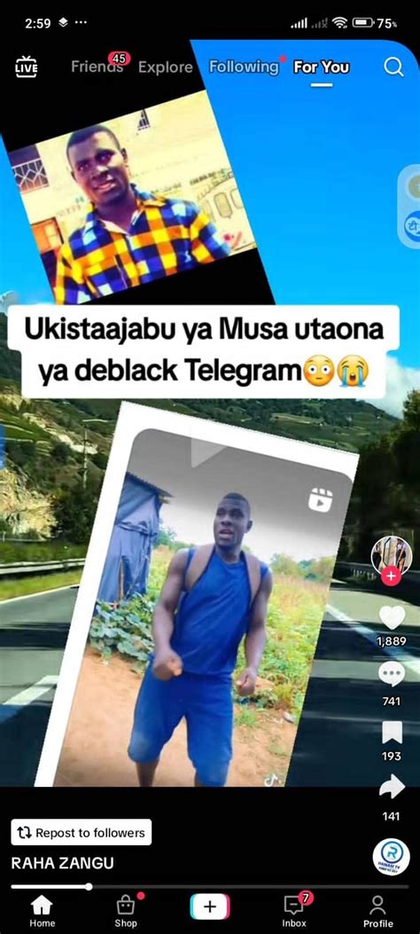 Another Gay Community Chimp With A Sex Tape Sex Relationships Kenya Talk