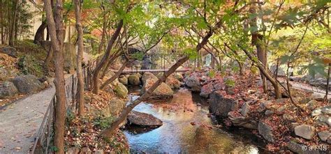 [경기도 광주시] 곤지암리조트 힐링캠퍼스