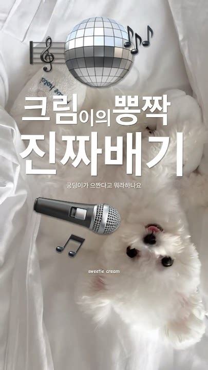 진짜배기 귀여운 크림이 아잉교 이명화 Youtube 진짜배기 귀여운 크림이 아잉교 이명화 Youtube