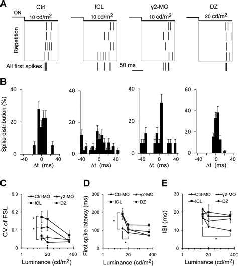 Increasing Or Decreasing Inhibition Alters The Temporal Precision Of