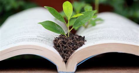 Diversified Spaces On Linkedin 4 Ways To Improve Sustainability In The