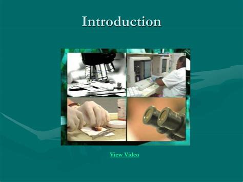 Ppt Diagnostic Detectives Toolkit Powerpoint Presentation Free Download Id 1713914