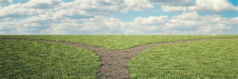 Routes Into Teaching For Teaching Assistants Twinkl Digest Education News