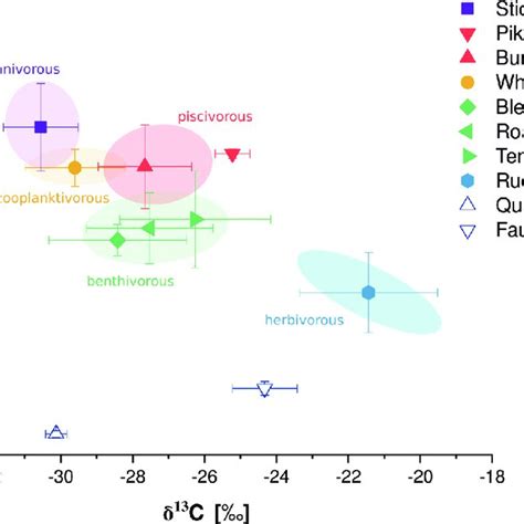 δ 15 N Versus δ 13 C Bi Plot Showing The Mean Isotope Values Of Aquatic