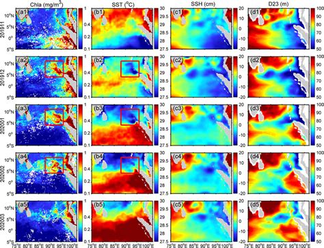 Monthly Evolution Of Chla Concentration Mg M³ Sst °c Ssh Cm And