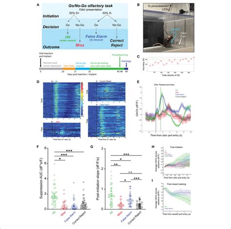 Basal Forebrain Cholinergic Signaling Reflects Reward Seeking And