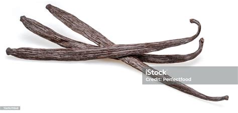 마른 바닐라 과일 콩 또는 바닐라 스틱은 흰색 배경에 분리되어 있습니다 0명에 대한 스톡 사진 및 기타 이미지 0명 3가지 개체 가지 식물 부위 Istock
