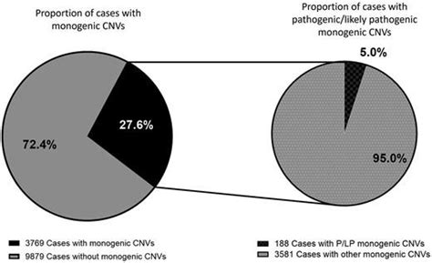 Detection Of Clinically Relevant Monogenic Copy Number Variants By A Comprehensive Genome Wide
