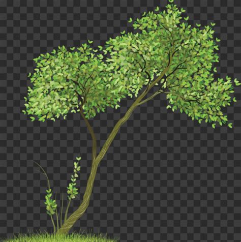Tree Png Art Pxpng
