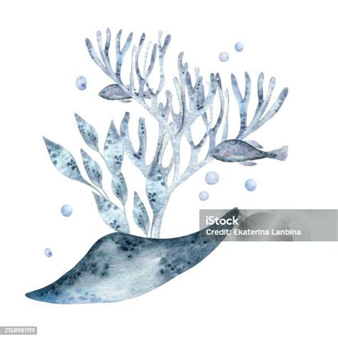 수중 장면 흑백 산호 물고기 그리고 바다 식물 수채화 그림 고립 가오리와 물고기가 있는 해양 생물은 먼지가 많은 파란색과 라벤더