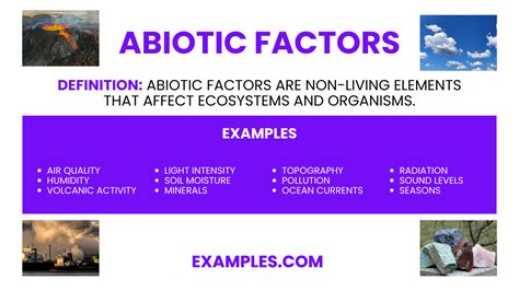 20 Abiotic Factors Examples