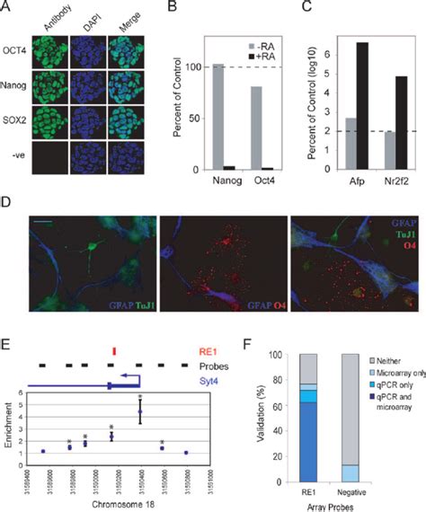 Validation Of Stem Cell Potency And Microarray Sensitivity A Mouse Download Scientific