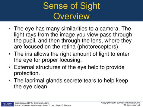 Ppt The Senses The Sights And Sounds Powerpoint Presentation Free