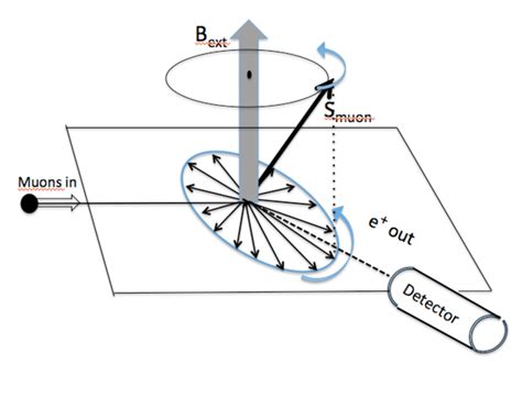 Schematic Picture Of Spin Precession In A Magnetic Field As Seen By An