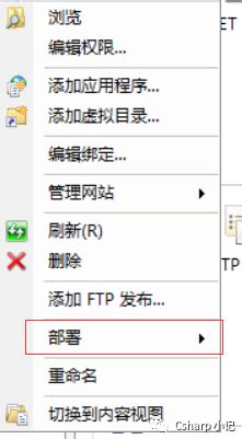 超详细 Net项目一键发布到IIS 董川民
