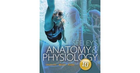Seeleys Anatomy And Physiology By Cinnamon Vanputte