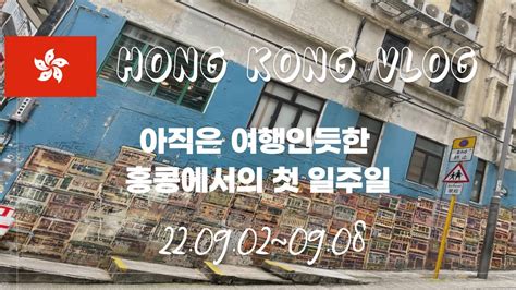 🇭🇰홍콩vlog I 아직은 여행인듯한 홍콩에서의 첫 일주일 I 호텔격리 I 심포니 오브 라이트 I 빅토리아 피크 I 미드레벨 I