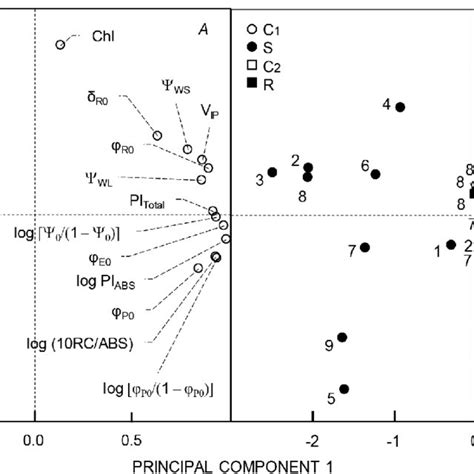 component plot in rotated space of principle component analysis pca