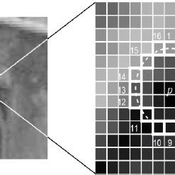 PDF Image Stitching Based On Feature Extraction Techniques A Survey