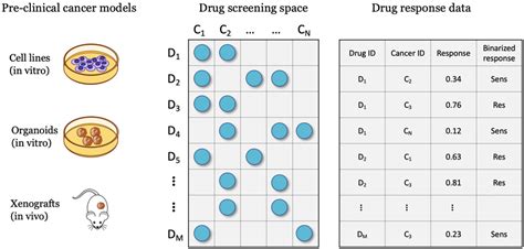 Drug Screening Experiments Are Performed With Various Cancer Models Download Scientific Diagram