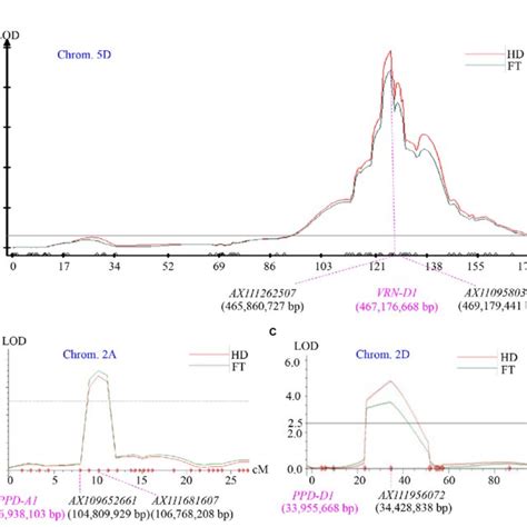 Mapping Of Quantitative Trait Loci Qtls For Heading Date Segregated Download Scientific